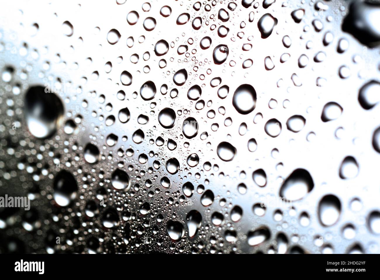 waterdrop, condensation, drop of water, water drop, waterdrops ...