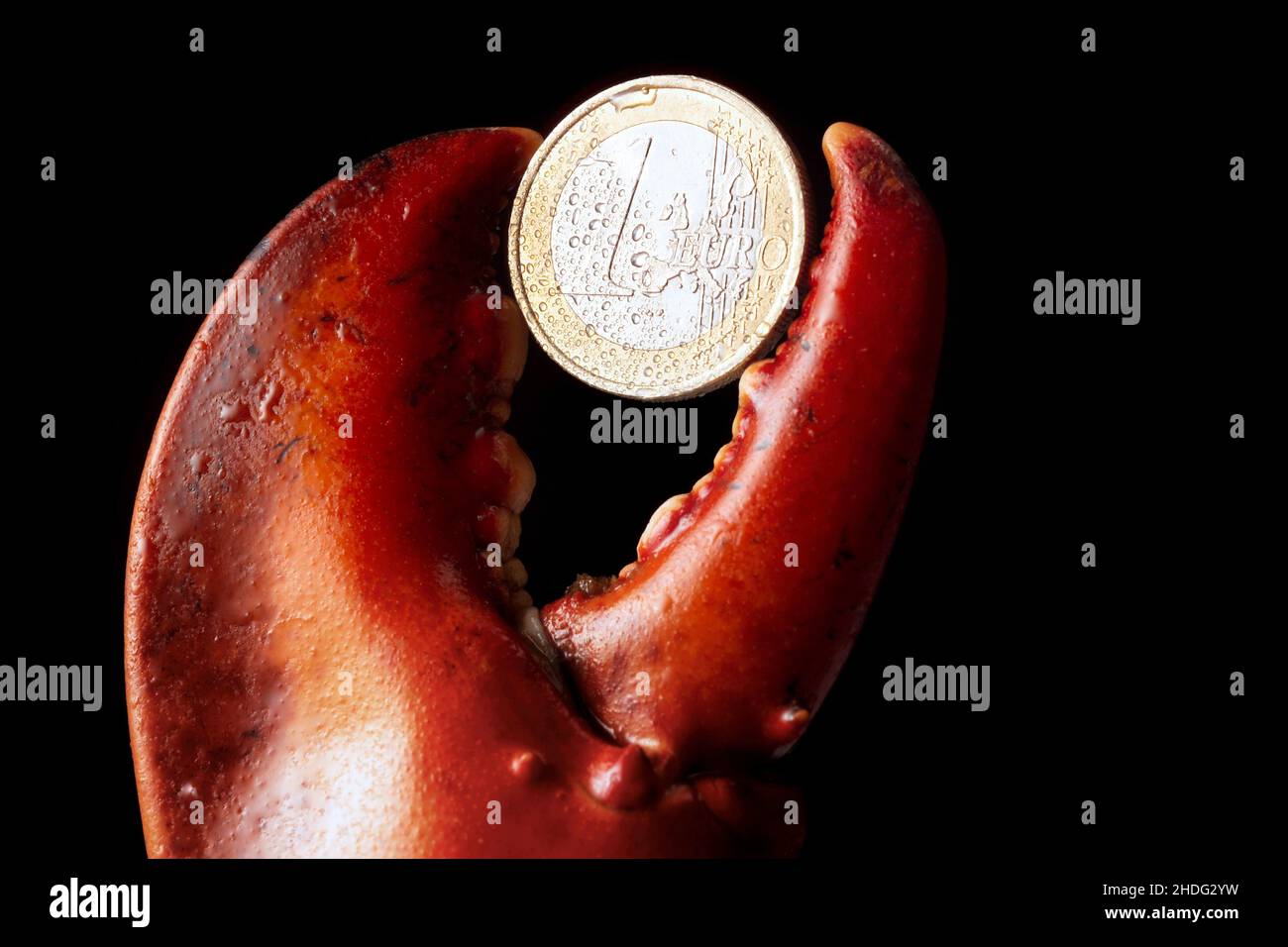 lobster, euro, prosperity, lobsters, flourish, prosperities Stock Photo ...