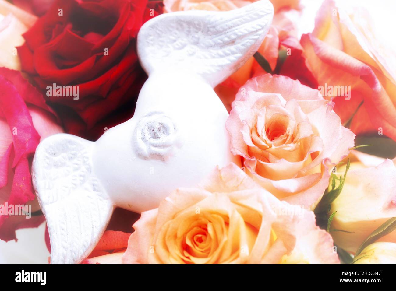 love, heart, love message, loves, hearts, love messages Stock Photo - Alamy
