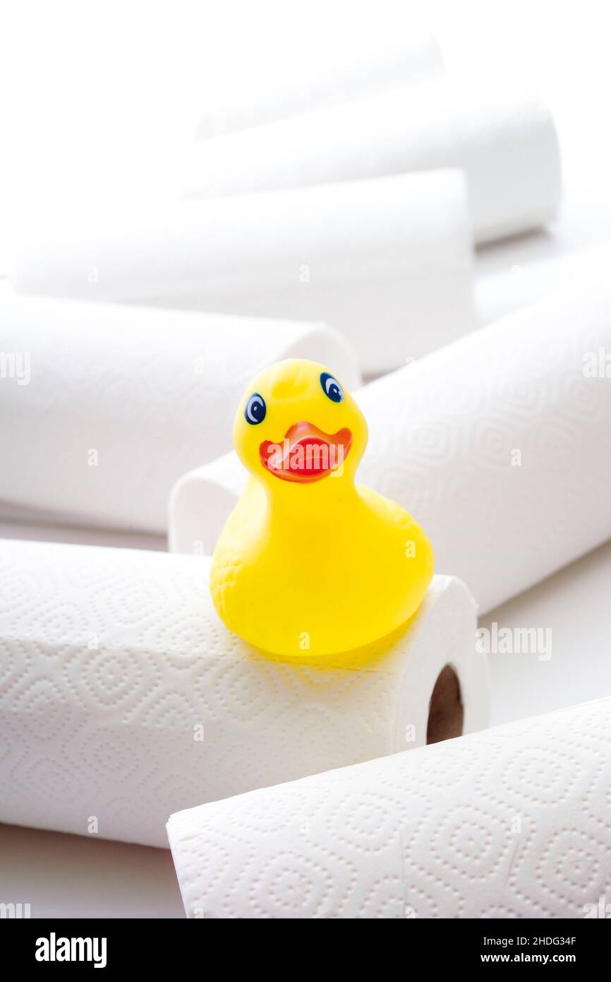 rubber duck, kitchen roll, rubber ducks, kitchen rolls Stock Photo - Alamy
