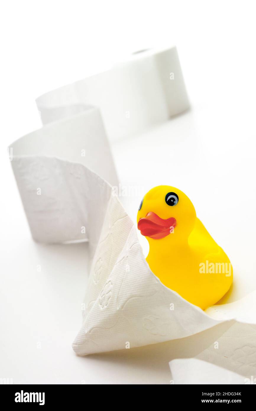 cleanliness, toilet paper, toilet papers Stock Photo - Alamy