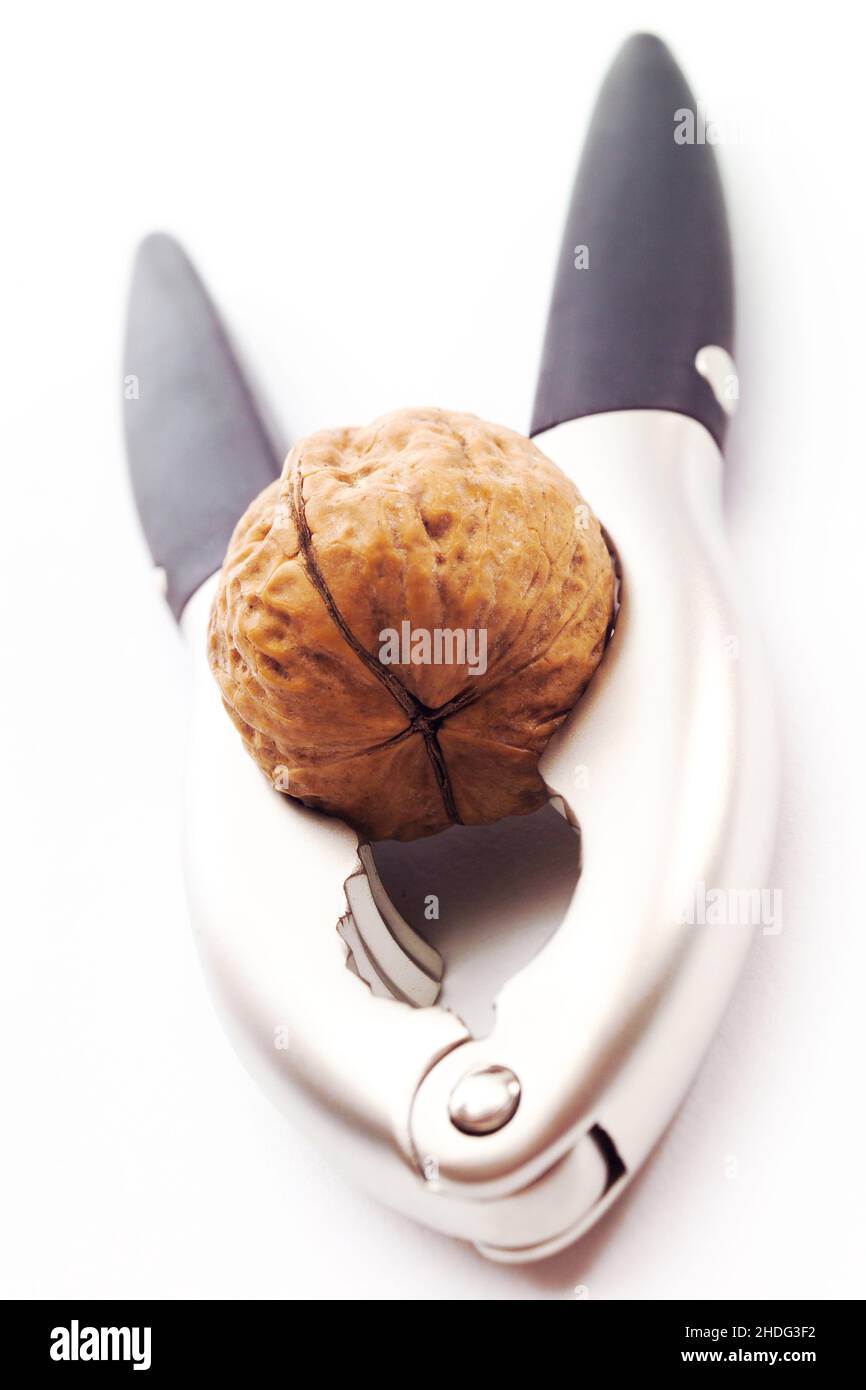 walnut, nutcracker, crack, walnuts, nutcrackers, cracks Stock Photo - Alamy