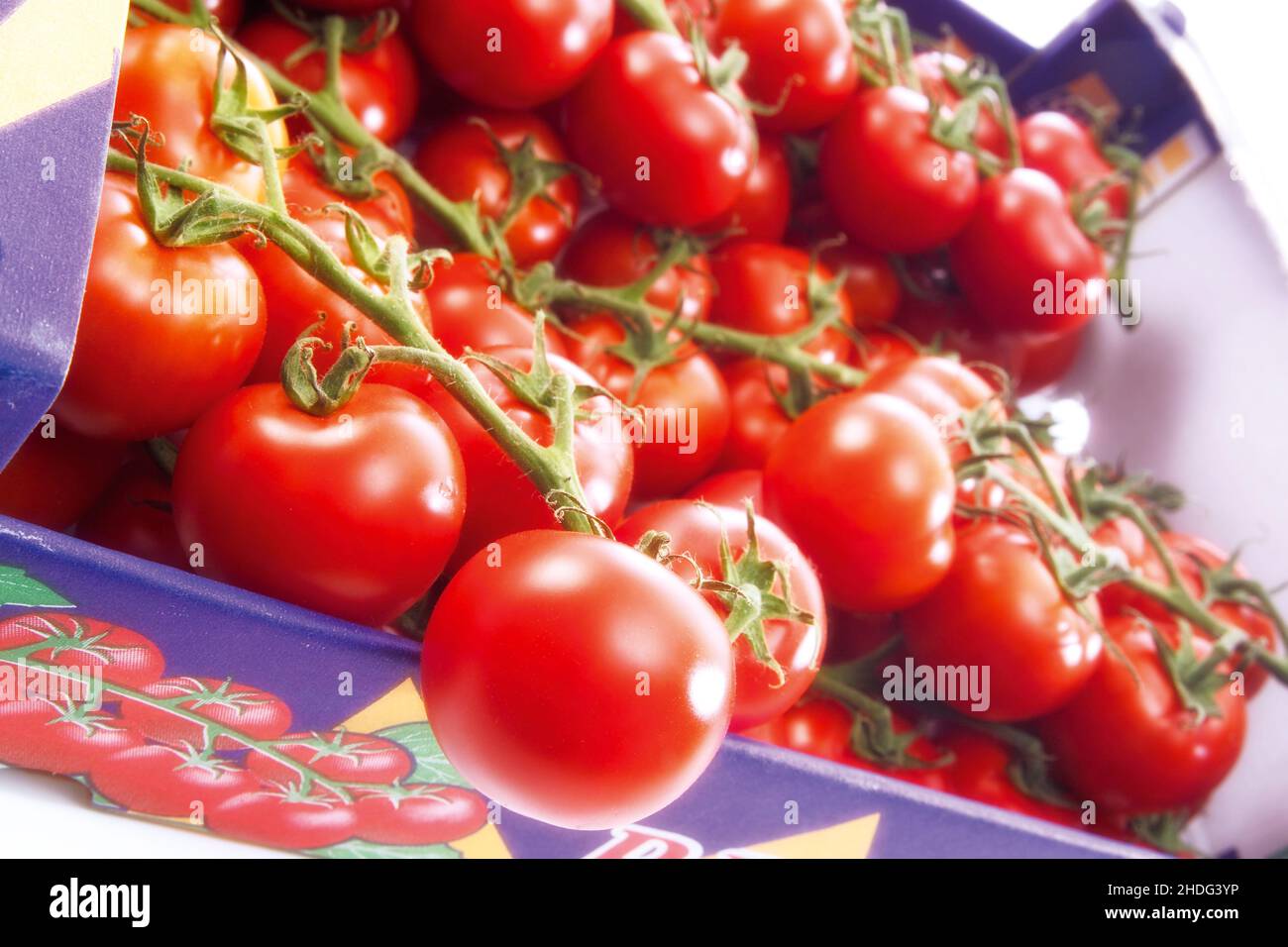 vine tomato, vine tomatos Stock Photo - Alamy