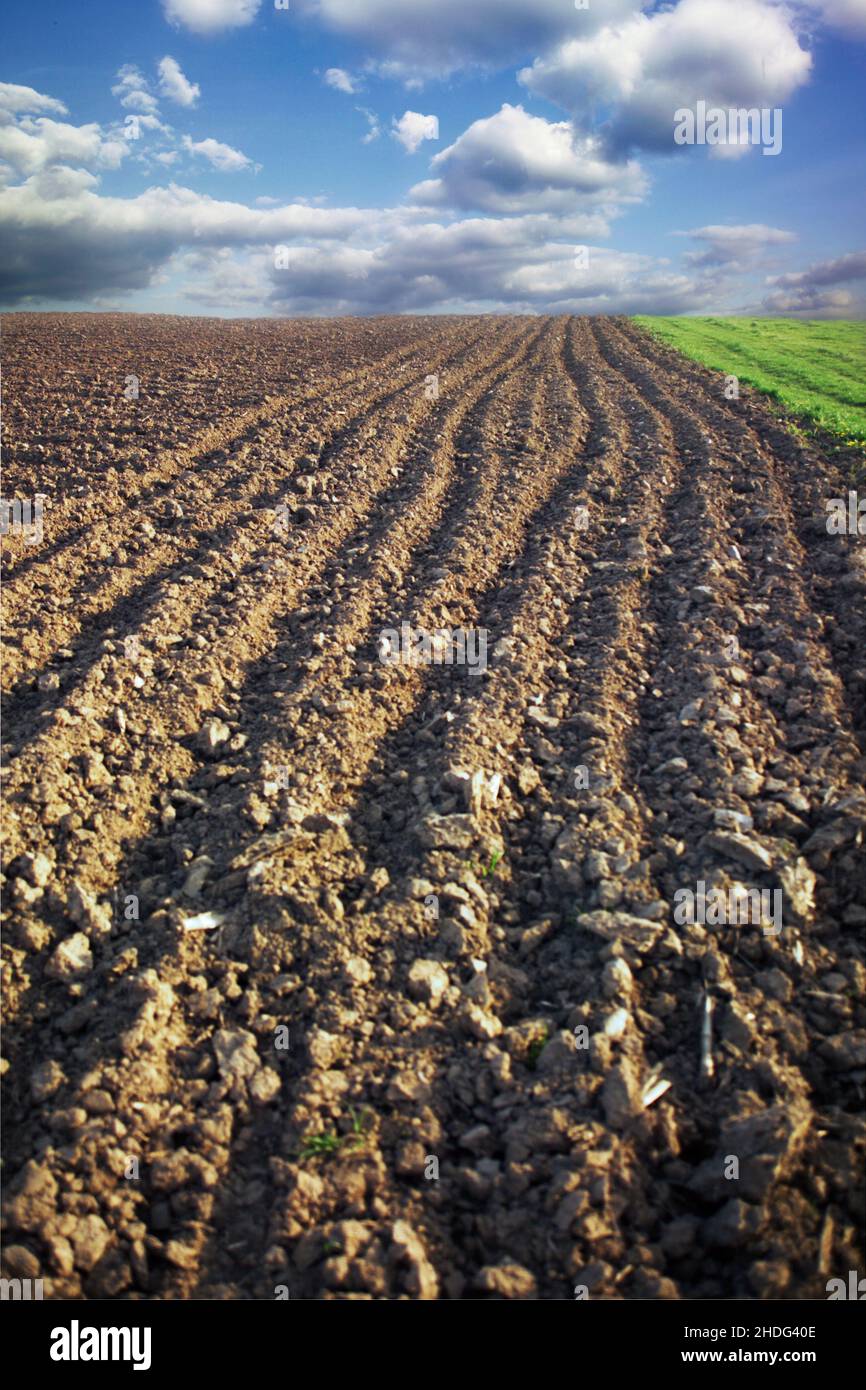 Arables hi-res stock photography and images - Alamy