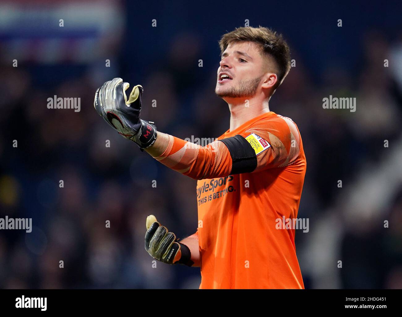 Sarkic wolves hi-res stock photography and images - Alamy