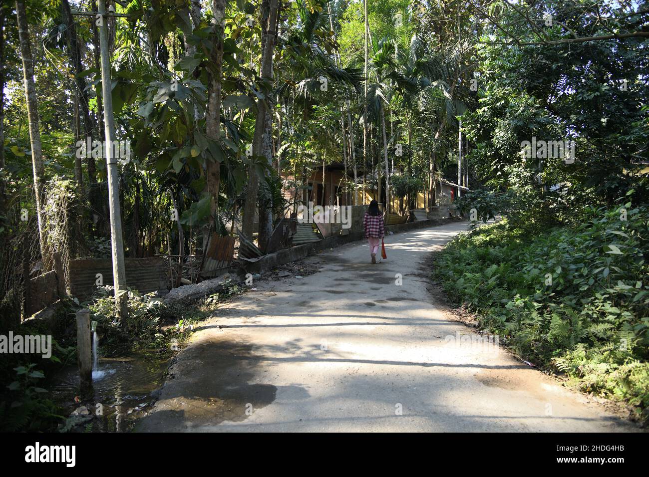 Local road of Dakshin Kanta Dighi Kumarpara area. Lataguri, Jalpaiguri ...