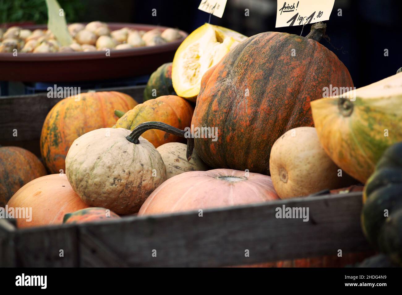 vegetable market, edible gourd, vegetable markets, edible gourds Stock ...