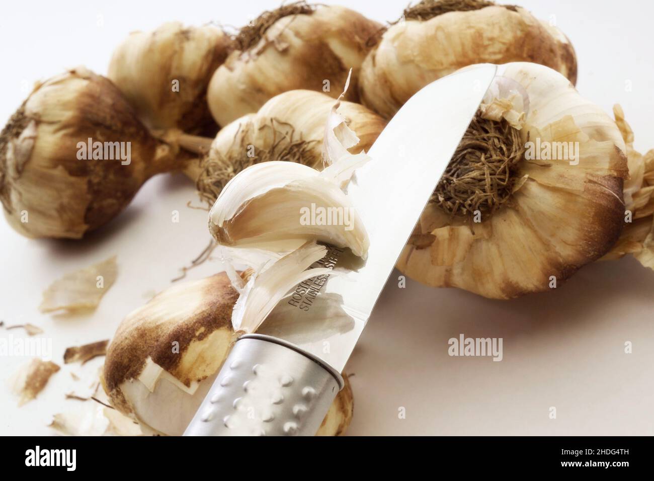 garlic, garlic clove, garlics, garlic cloves Stock Photo - Alamy