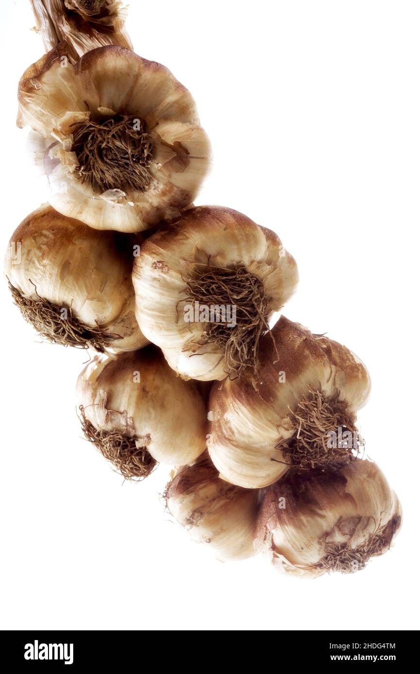 Plait of garlic Cut Out Stock Images & Pictures - Alamy