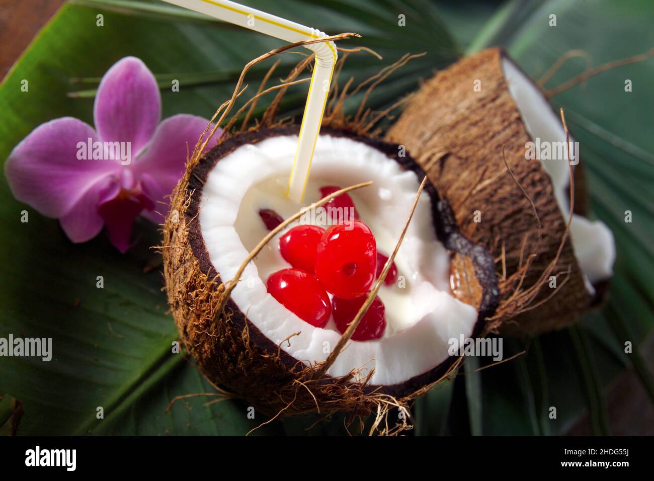 cocktail, coconut milk, coconut, alcohol, cocktails, tropical drink ...