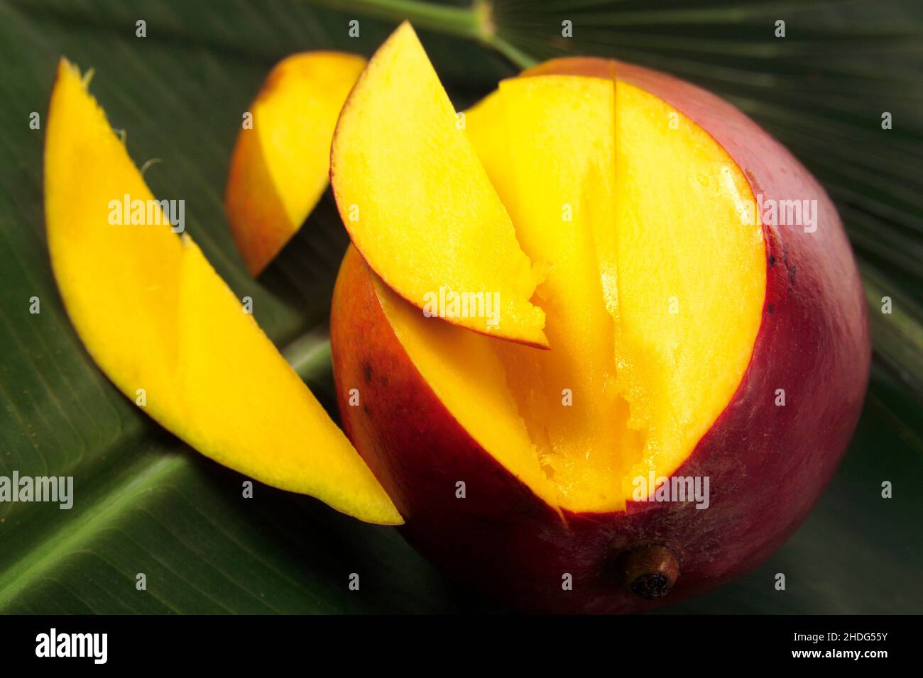 Mango crops hi-res stock photography and images - Alamy