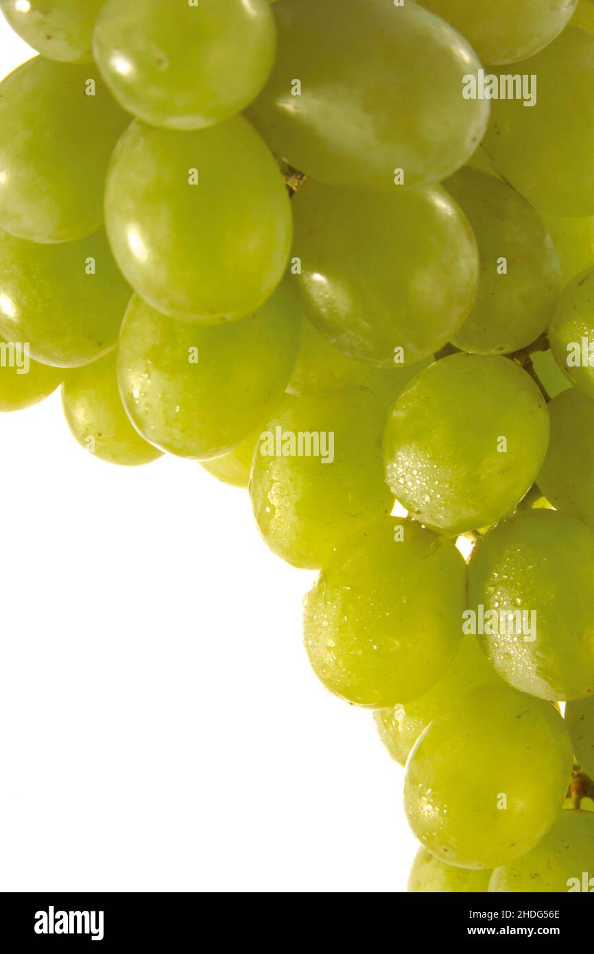 grape, table grapes, grapes, table grape Stock Photo - Alamy