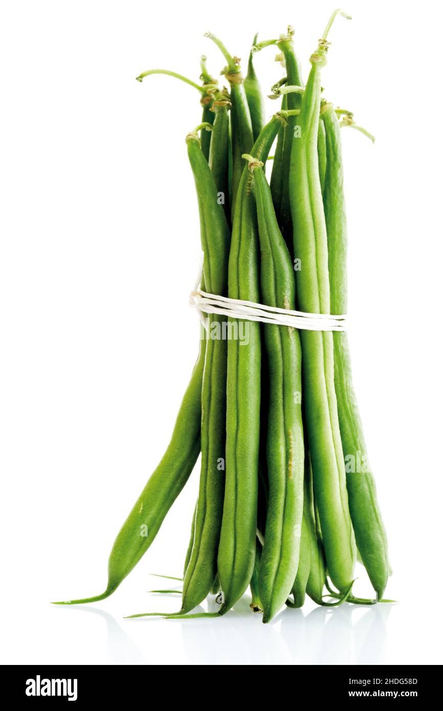 bush beans, bush bean Stock Photo - Alamy