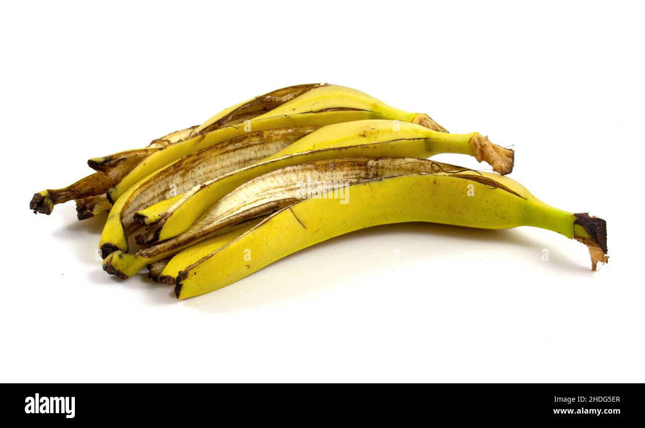 Fruit skin, banana organic waste isolated on white background, for ...