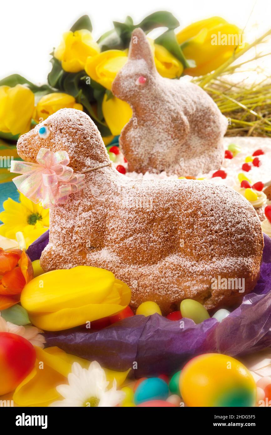 easter bunny, easter, easter pastry, easter bunnies, easters Stock ...