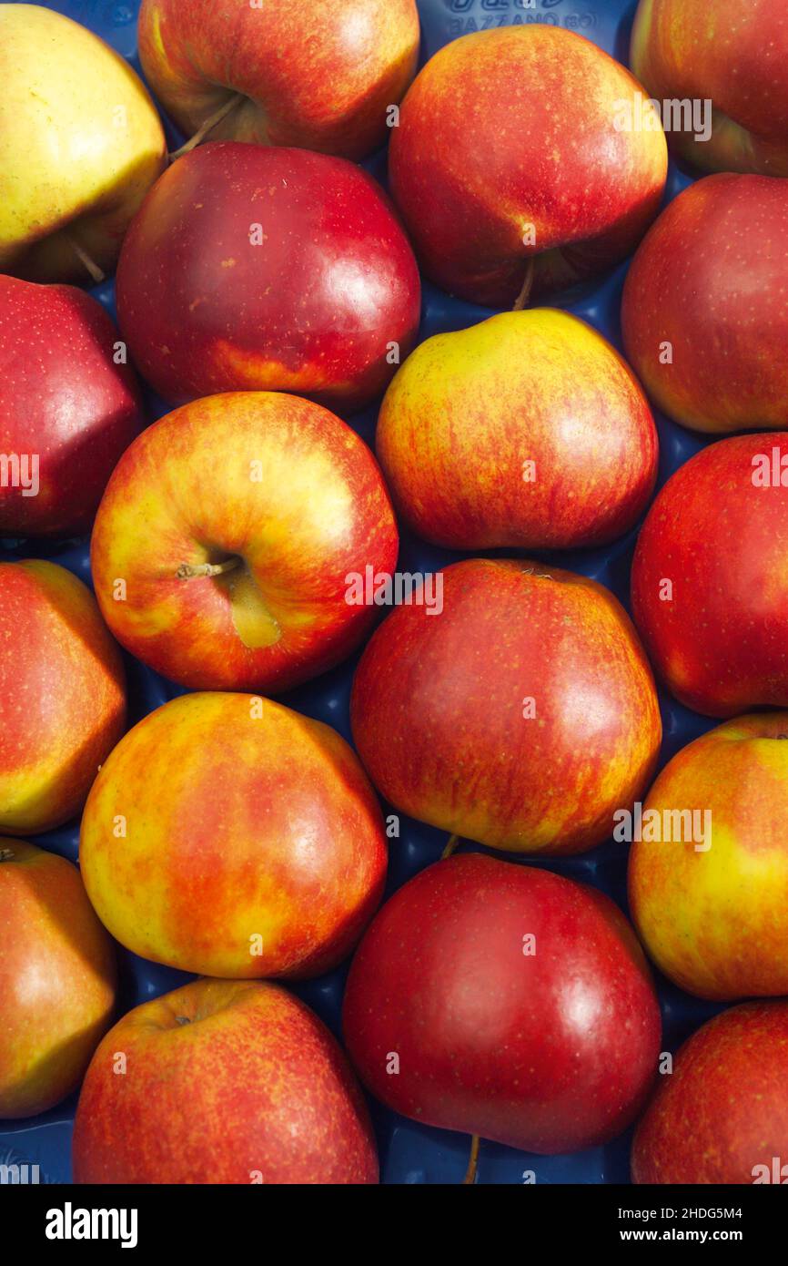 Jonagold apple variety hi-res stock photography and images - Alamy