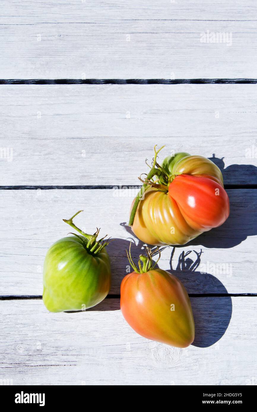 tomato, meat tomato, ox heart, tomatoe, tomatoes, tomatos Stock Photo ...