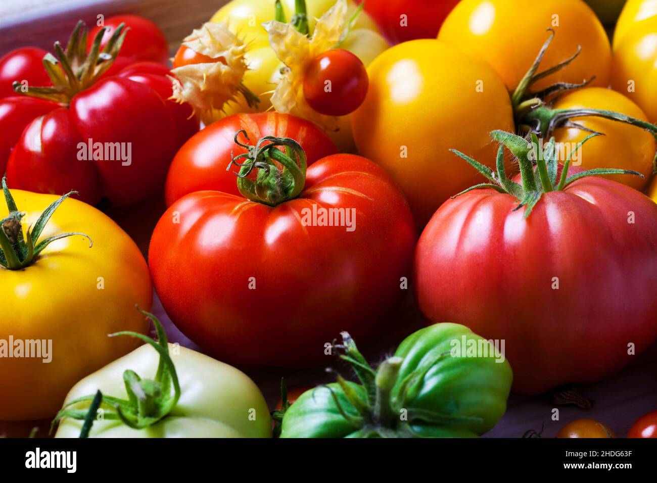 tomatoes, variation, variety, tomato, diversities, diversity ...