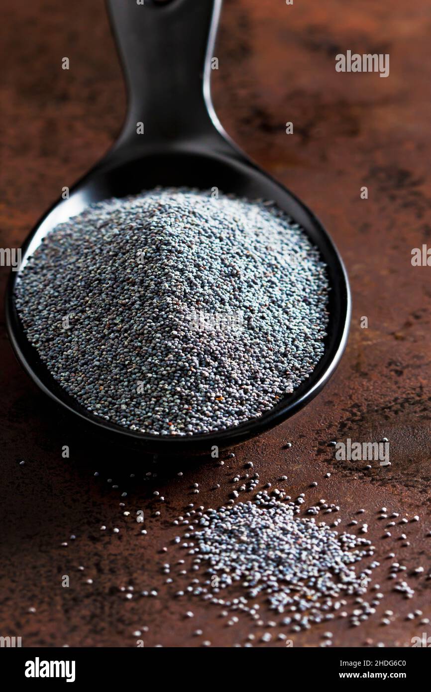 Sowing poppy seed hi-res stock photography and images - Alamy