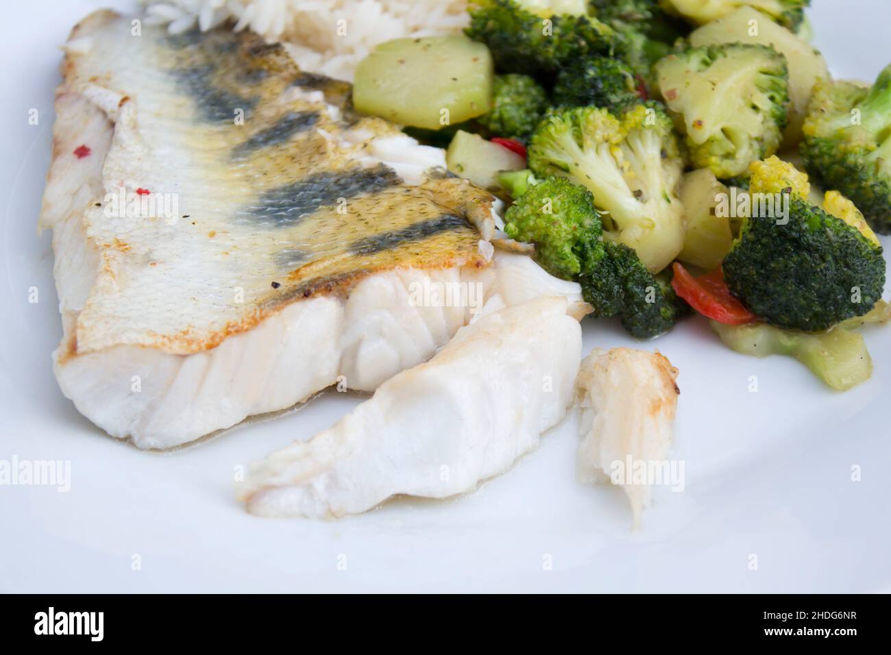 fish fillet, pikeperch, pike perch fillet, fish fillets Stock Photo - Alamy
