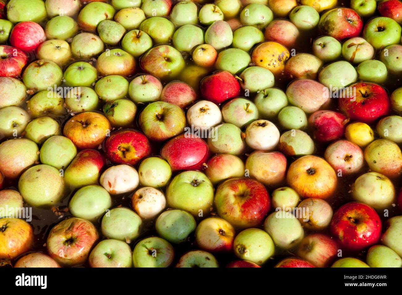 Washing fruit hi-res stock photography and images - Alamy