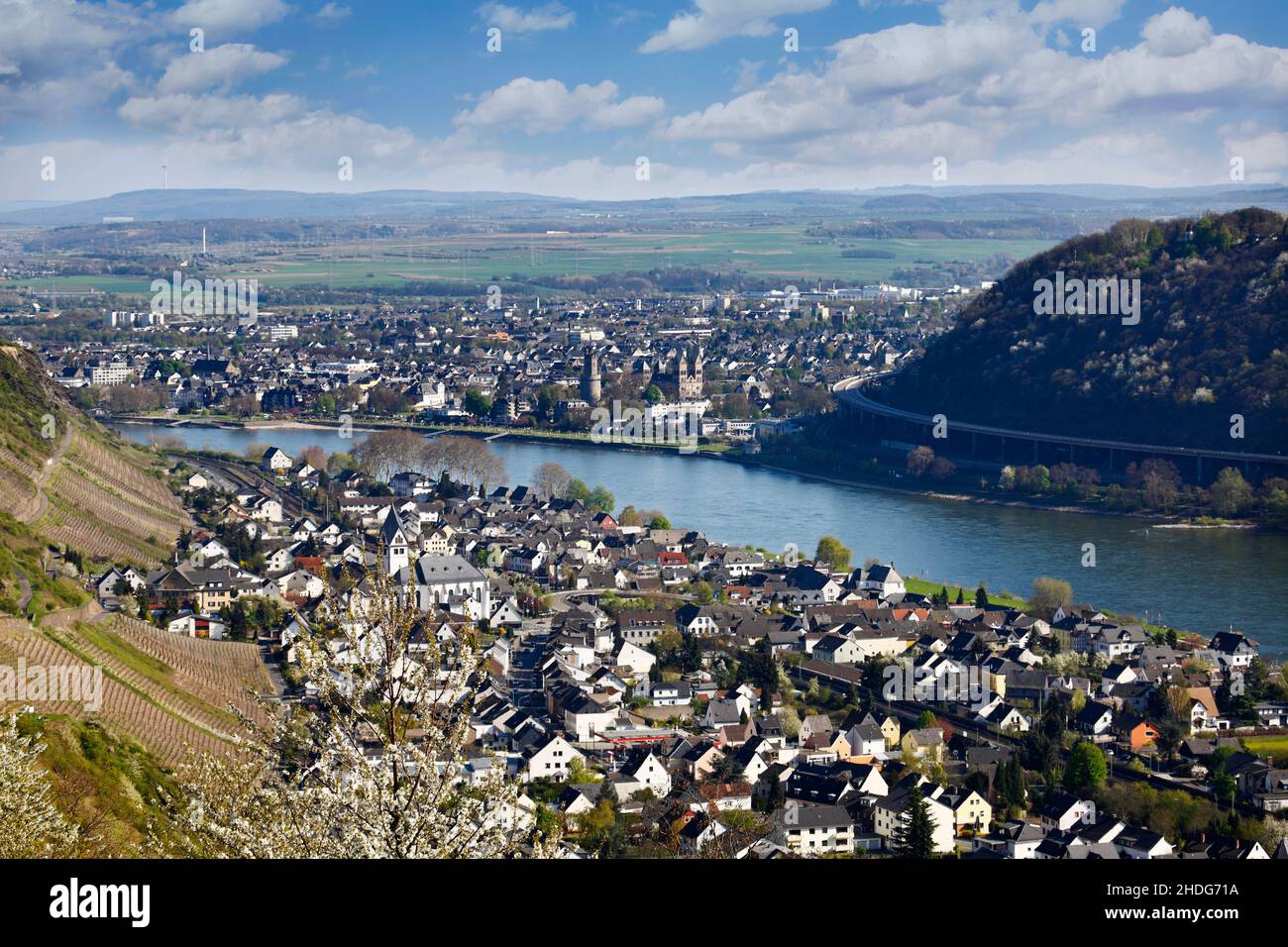 River rhine wine regions hi-res stock photography and images - Alamy