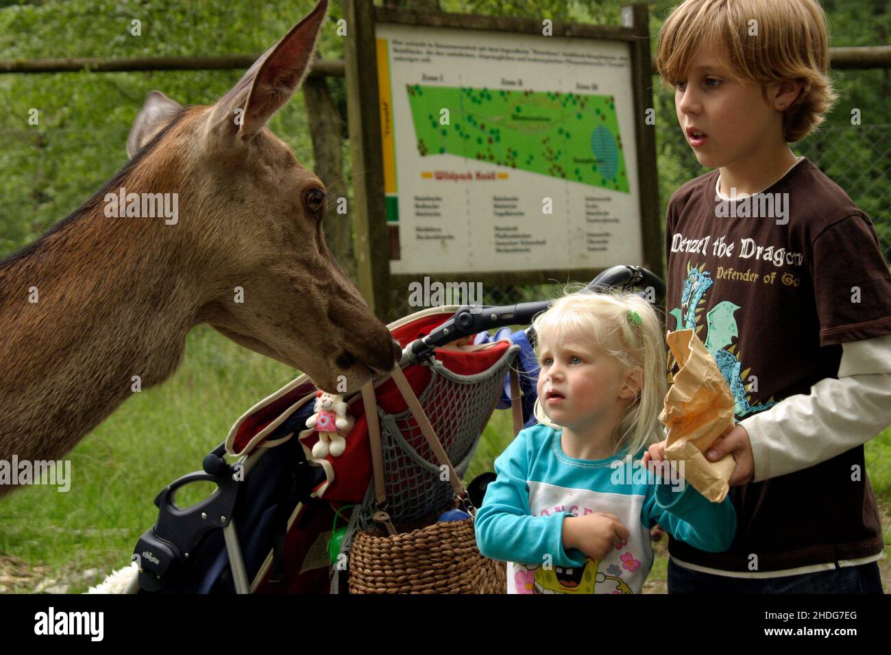 Animal fear people hi-res stock photography and images - Alamy