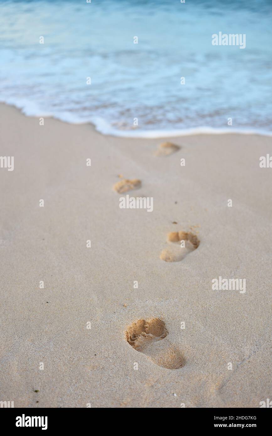 Natures footprints hi-res stock photography and images - Alamy