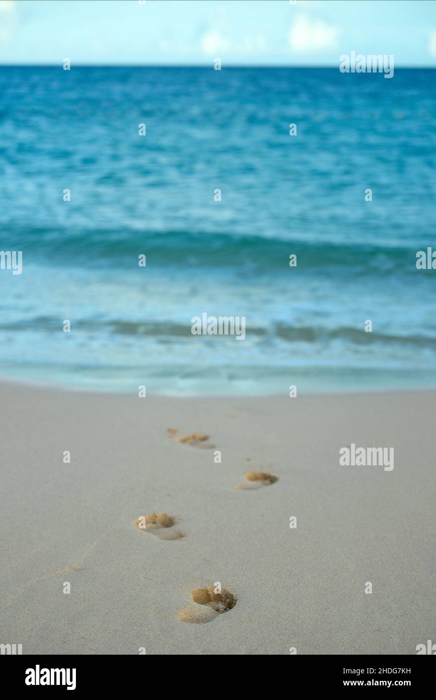 Natures footprints hi-res stock photography and images - Alamy