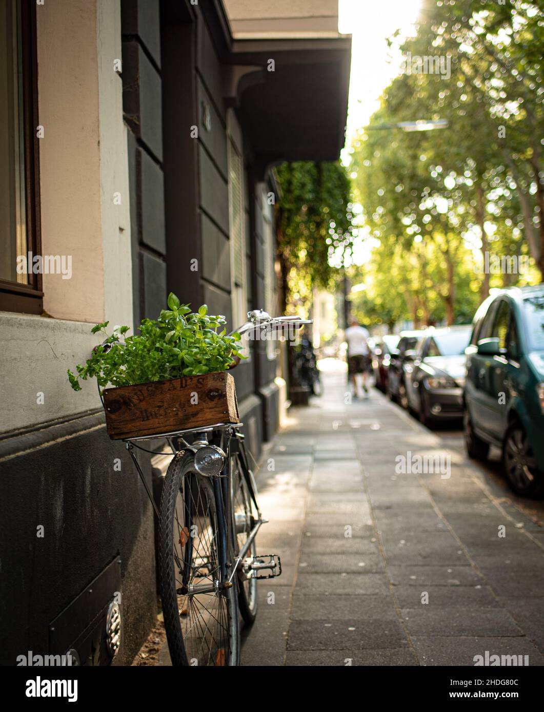 environment protection, bicycle, climate protection, urban gardening ...