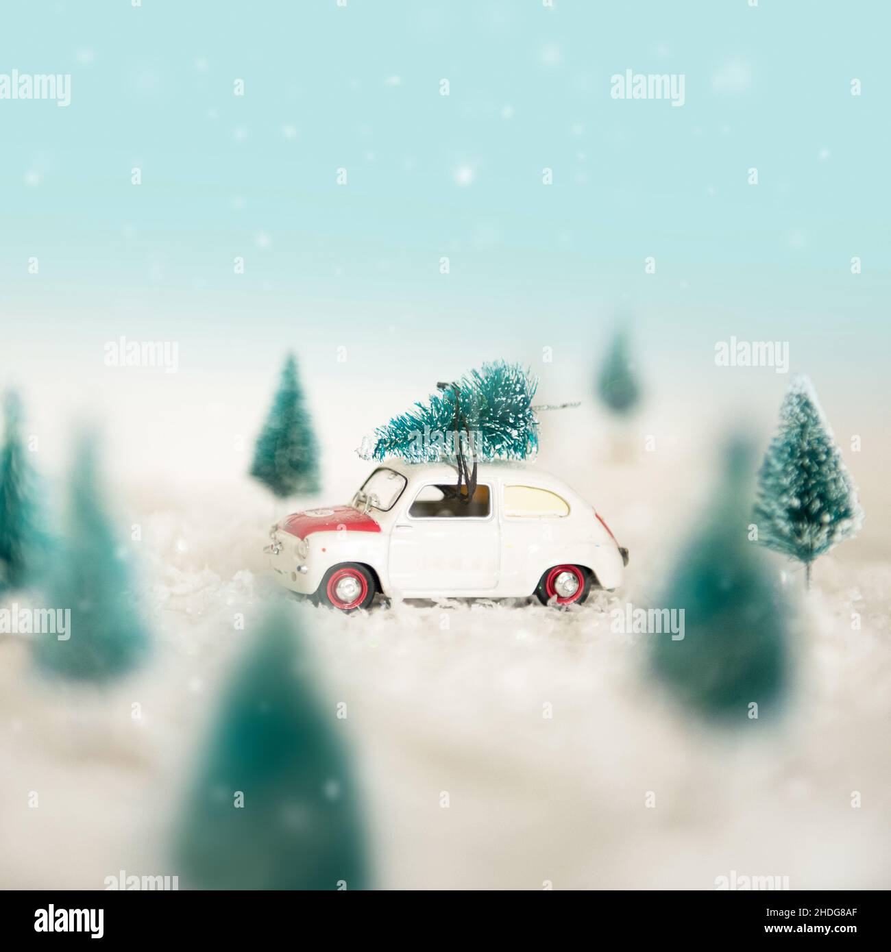 transportation, car, christmas tree, transport, transportations, cars ...