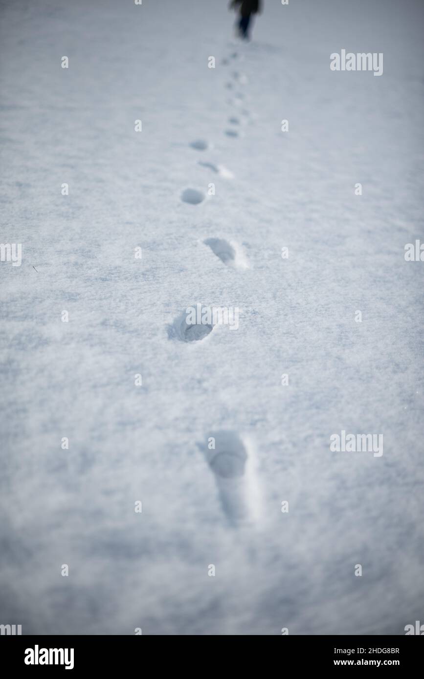 snow, footprints, snowy, footprint, handprints, prints Stock Photo - Alamy