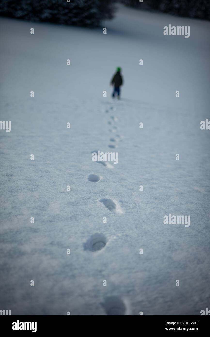 snow, footprints, snowy, footprint, handprints, prints Stock Photo - Alamy
