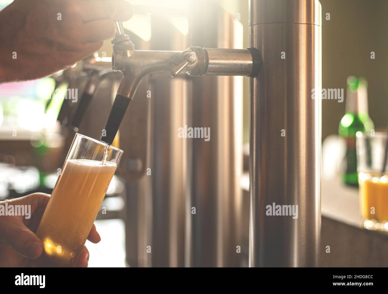 beer, pine cone, tap, beers, pine cones, taps Stock Photo - Alamy