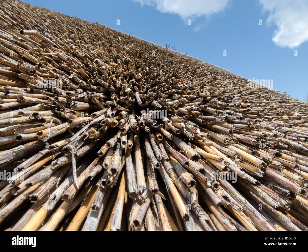 Reet roof hi-res stock photography and images - Alamy