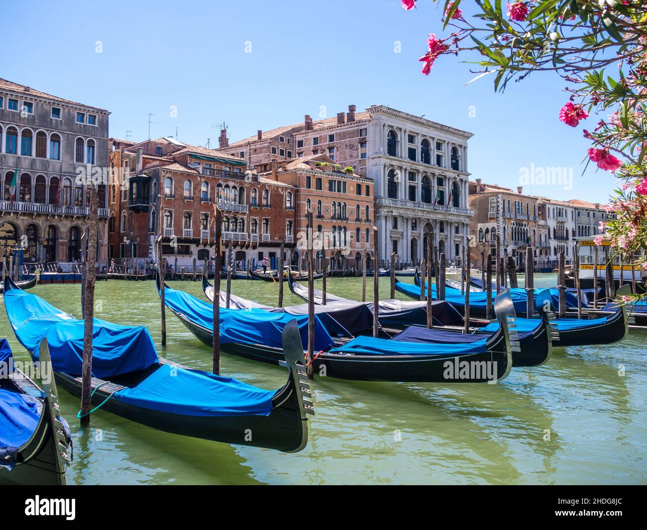 canal grande, gondolas, gondola Stock Photo - Alamy