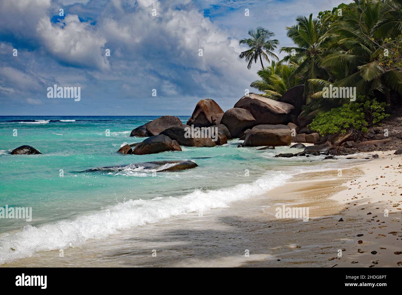 Seychelles island beach palms hi-res stock photography and images - Alamy