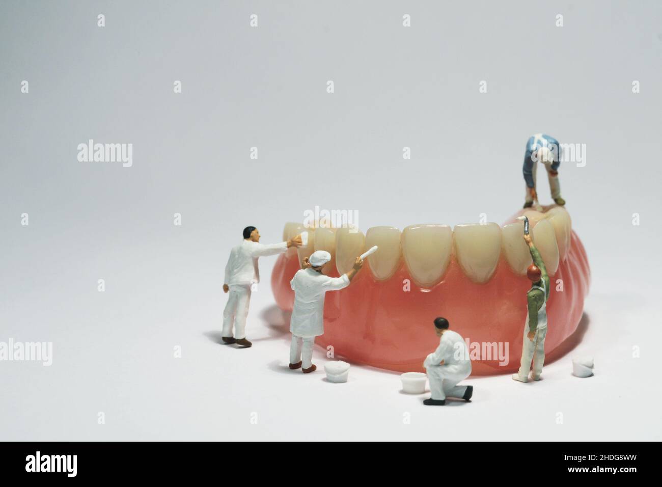 Teeth models hi-res stock photography and images - Alamy