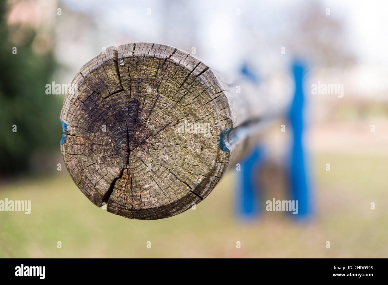 roof beam, annual rings, barrier, roof beams, annual ring, barriers ...