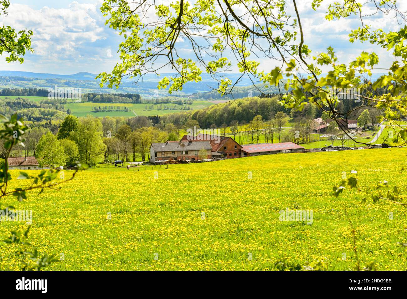 Hesses hi-res stock photography and images - Alamy