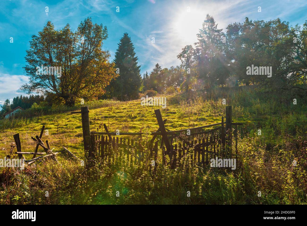 sunlight, pasture, fence, sun ray, sun rays, sunbeam, sunbeams ...