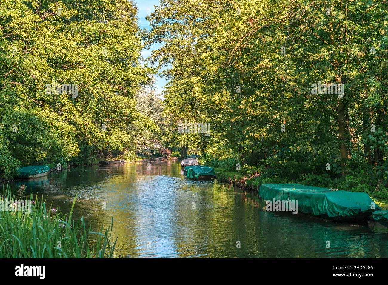 spree forest, spree river, boats, spree forests, spree rivers, boat ...