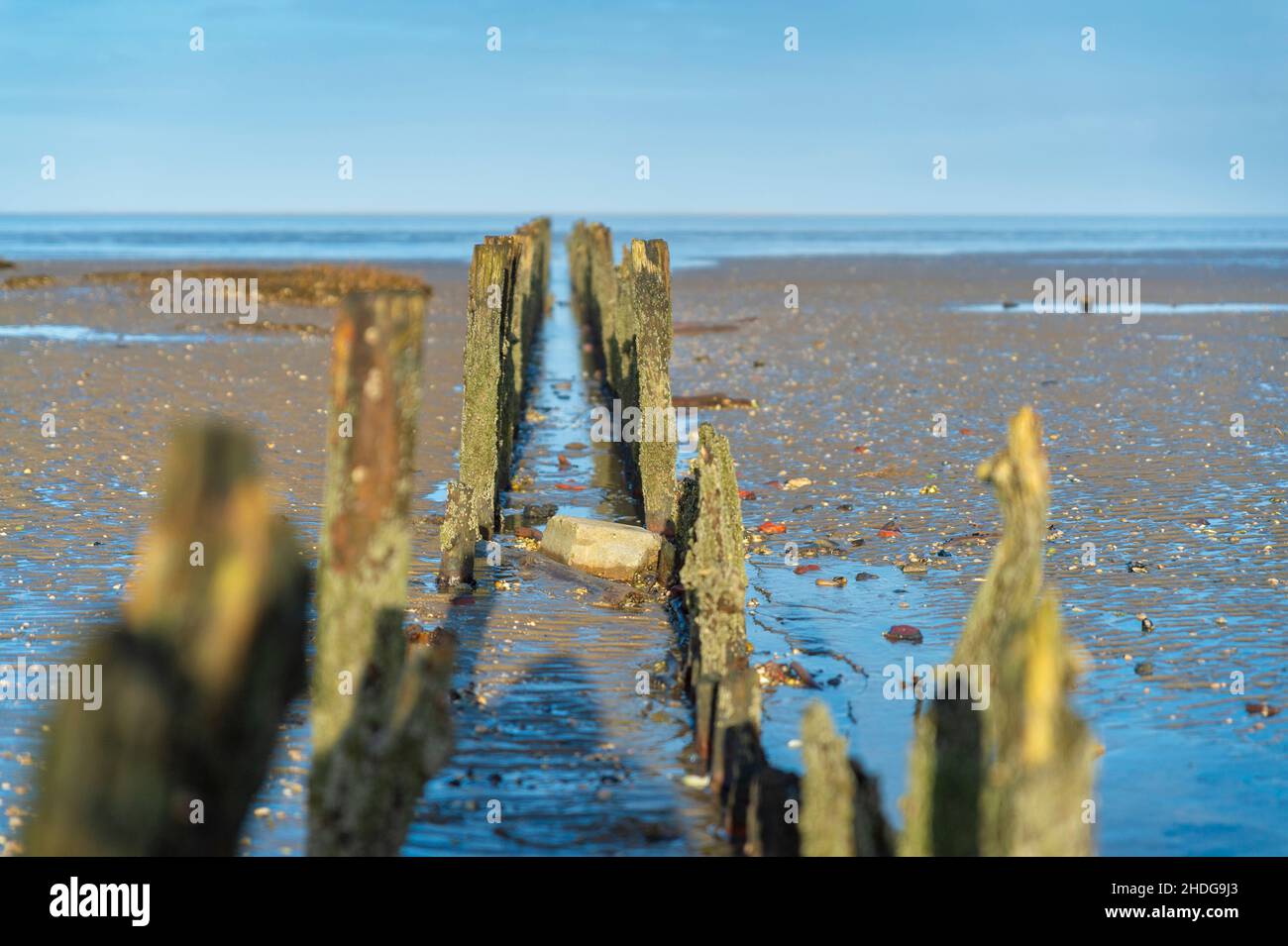 north sea, groyne, north seas, groynes Stock Photo - Alamy
