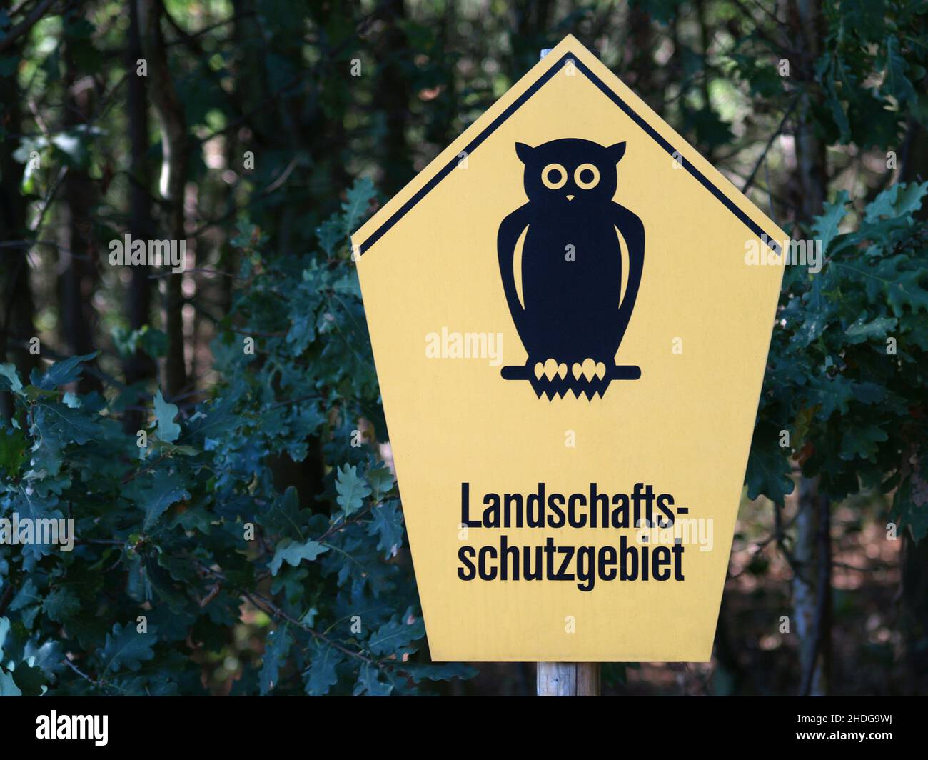nature, protected, national park, natur, natures, protecteds, national ...