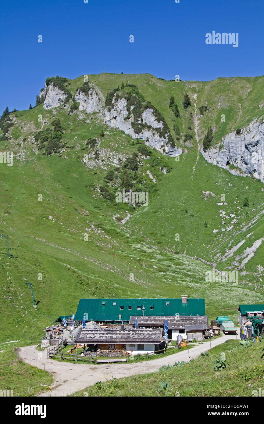 Alm cheese hi-res stock photography and images - Alamy