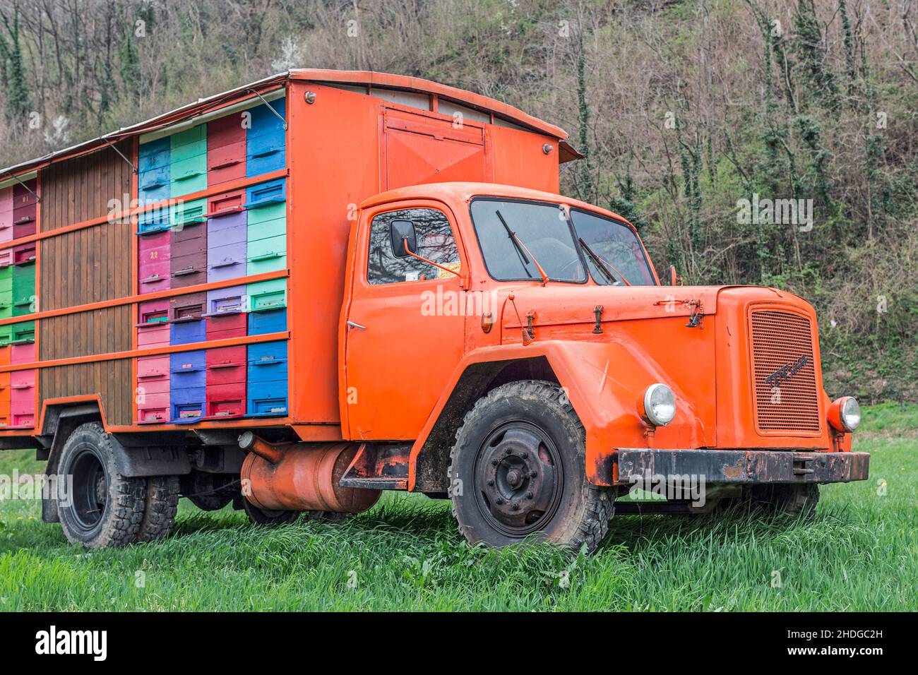 Bee transportation hi-res stock photography and images - Alamy