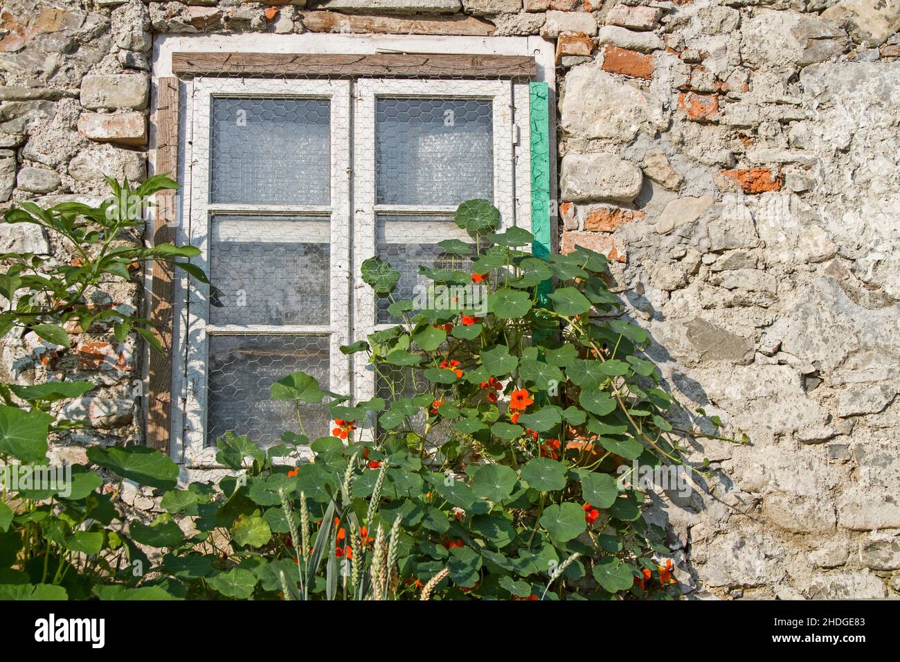 Lattice windows hi-res stock photography and images - Alamy