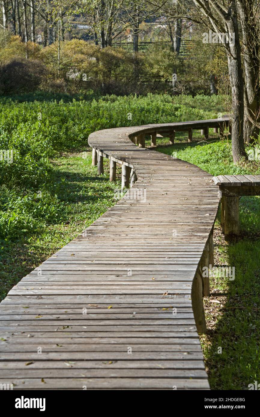 footpath, boardwalk, footpaths, boardwalks Stock Photo - Alamy