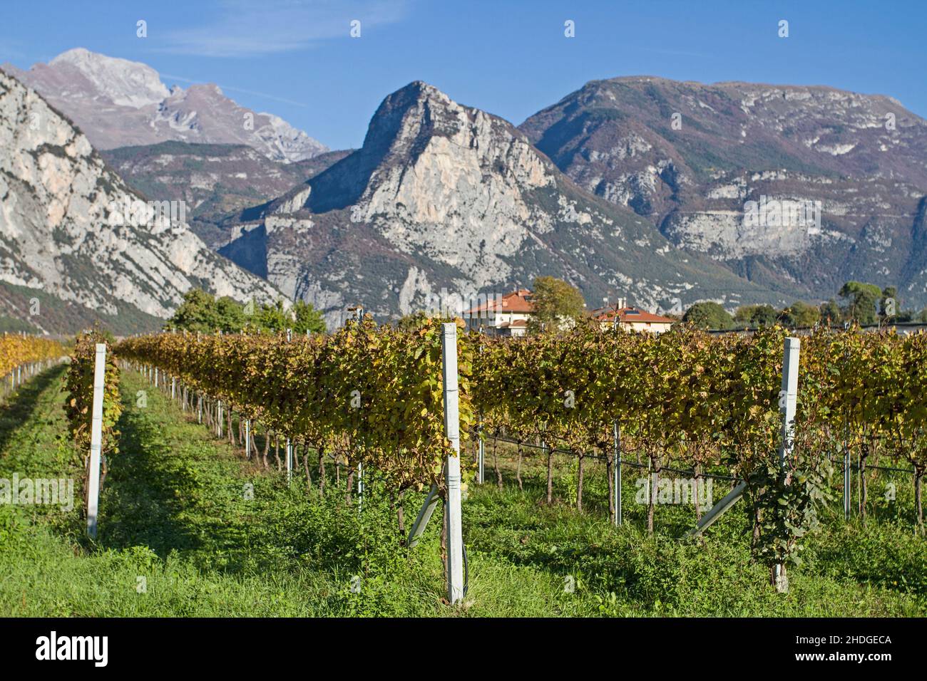 sarca valley, pietramurata Stock Photo - Alamy