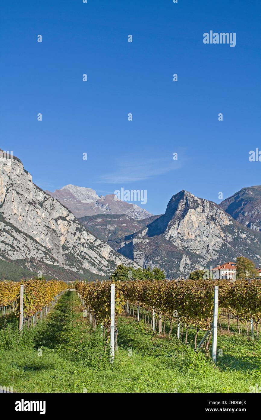 Pietramurata hi-res stock photography and images - Alamy